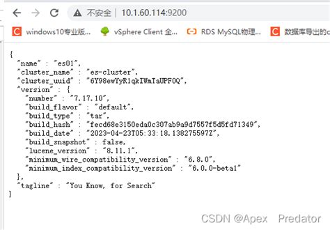 Elasticsearch集群搭建elasticsearch 集群搭建 Csdn博客