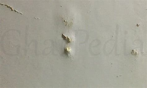Paint Blistering Common Defect In Paint