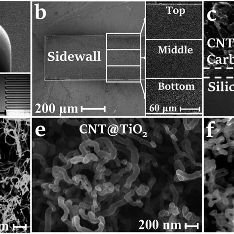 Structure Characterizations Of The Proposed Msc By Sem A Perspective Download Scientific