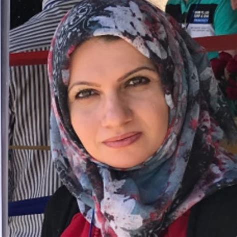 Alaa Taha Professor Assistant Phd In Accounting And Auditing