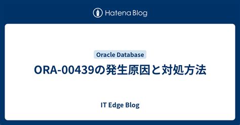 ora 00439の発生原因と対処方法 it edge blog