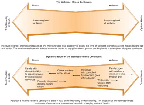 Week 1 Flashcards Quizlet Week 1 Flashcards Quizlet