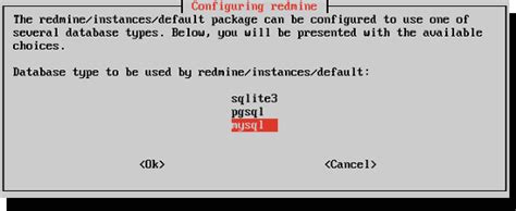 Installing And Customizing Redmine