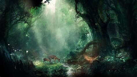 Quite Deep Forest Hd Desktop Wallpapers Wallpaper Cave