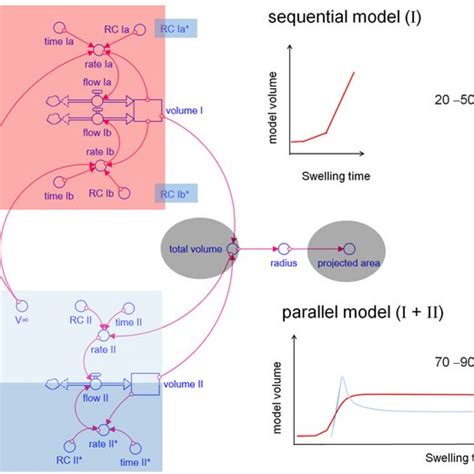 Averaged And Normalized Swelling Kinetics At Ph 11 And T 20 °c Of