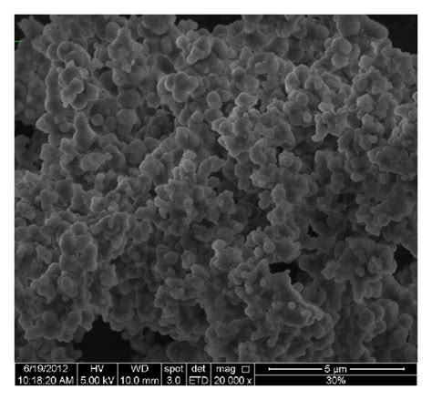 Scanning Electron Micrograph Of A Mts Cnsl B Scanning Electron