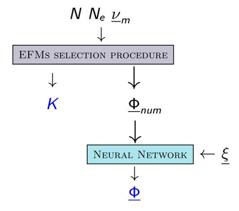 Hybrid Modeling Using An Elementary Flux Mode Reduction Procedure And Download Scientific