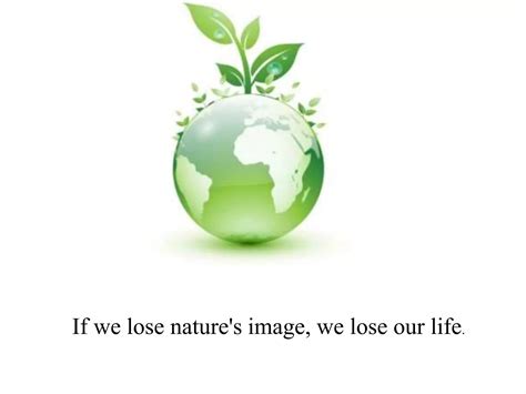 Minimata Disease Pptx