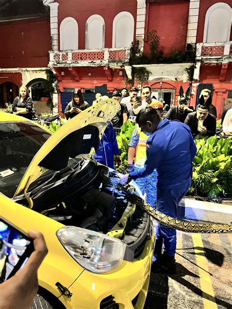 myvi with python power m sians stunned to see giant reptile inside
