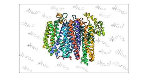 Mycobacterium Tuberculosis Structure
