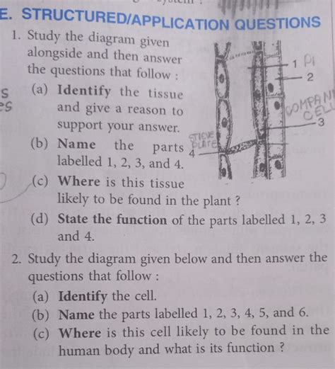E Structuredapplication Questions1 Study The Diagram Given Alongside
