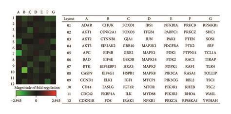 Differential Gene Expression Heat Maps Display The Gene Expression Download Scientific Diagram