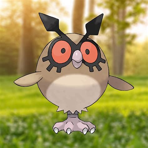 Noctowl Evolve