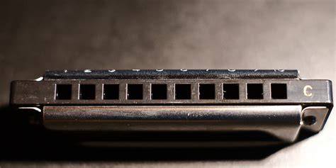 Quel harmonica diatonique choisir pour débuter La réponse