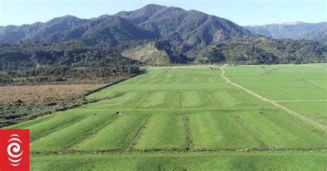 The Panel With Martin Cocker And Jennie Moreton Part 1 Rnz