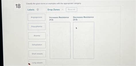 Solved 18 Classify the given terms or examples with the | Chegg.com