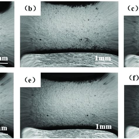 In Situ Sem Reveals Microscopic Features Of The Fracture Developed Download Scientific Diagram