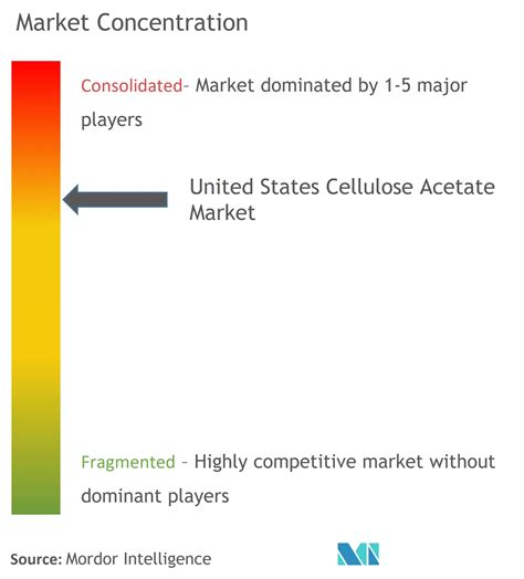 United States Cellulose Acetate Market Size And Share Analysis Industry Research Report Growth