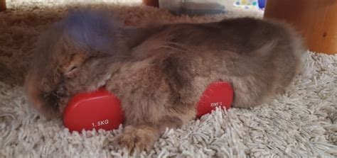 Thats Not How You Use Those 0 Rbuncomfortable