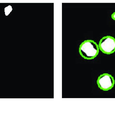 An Example With Minimum Enclosing Circle Method A The Binary Image