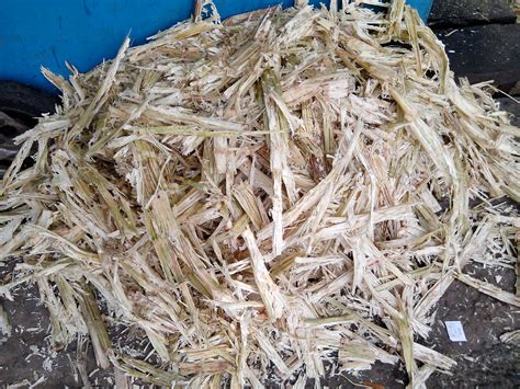 Filesugarcane Bagasse Wikimedia Commons