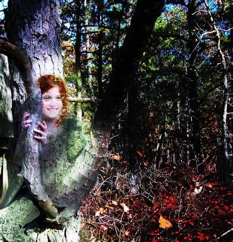Tree Nymph By MysteryElement On DeviantArt
