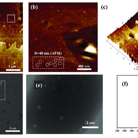 Afm Images A C And Tem Images D F Of S5 A B Afm Images Under
