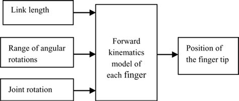 Forward Kinematics Model Of The Hand Download Scientific Diagram