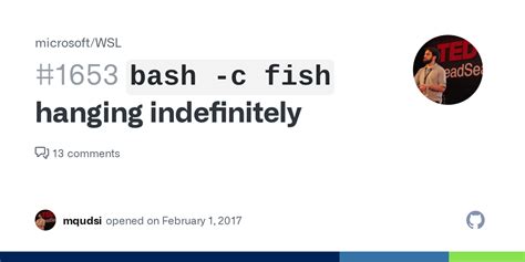 Bash C Fish Hanging Indefinitely Issue Microsoft Wsl Github
