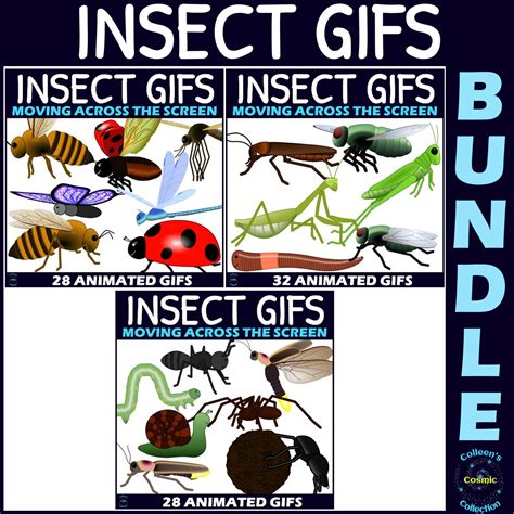 Insect S Mini Bundle Animated Bugs Moving Across The Screen Clip