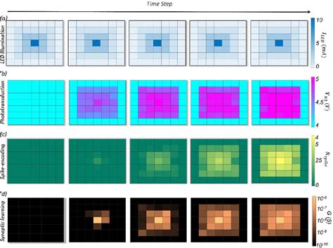 Figure From An All In One Bioinspired Neural Network Semantic Scholar