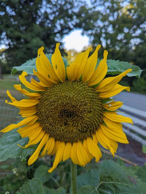 Jason Mitchell On Linkedin Thankful