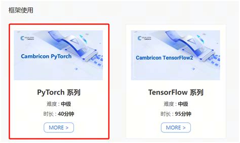 【开发者学院】中级课程—pytorch框架使用（2小节）（本文附课后小练习答案） 寒武纪软件开发平台 开发者论坛