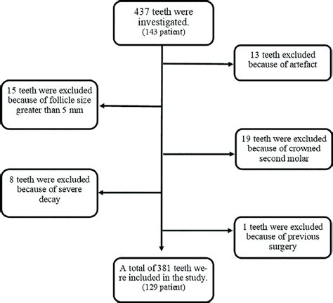 flowchart of case selection download scientific diagram
