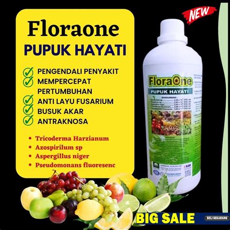Jual Pupuk Untuk Bibit Kencur Trichoderma Harzianum Fungisida Hayati