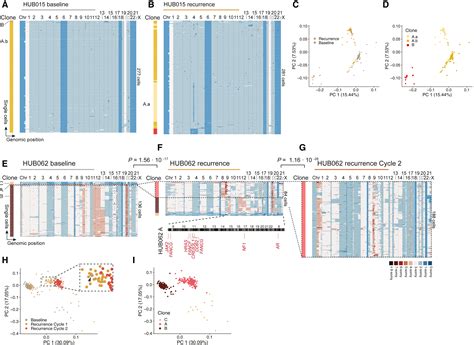 Pre Existing Subclones Determine Radioresistance In Rectal Cancer Organoids Cell Reports