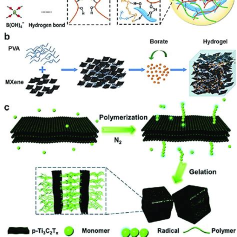 Schematic Illustrations Of Go Assisted Gelation For Various Mxene