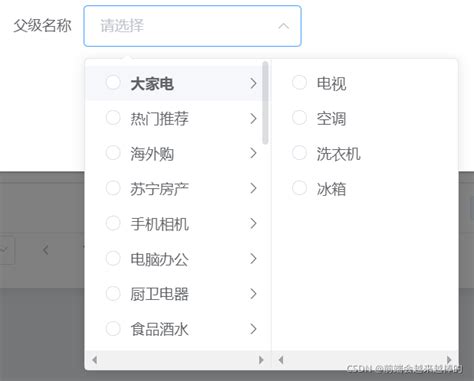 解决element ui的cascader 级联选择器展示问题 elementplus级联择器点击空白处不消失 csdn博客