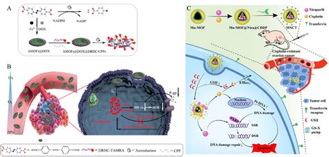 Surface Functionalization Of Metalorganic Framework Nanoparticle For Overcoming Biological