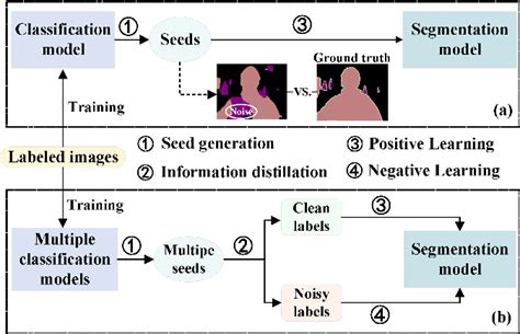 Figure 1 From Dual Branch Framework Using Positive And Negative