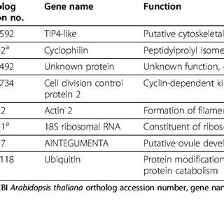 List And Description Of Candidate Reference Genes For QPCR Download Table