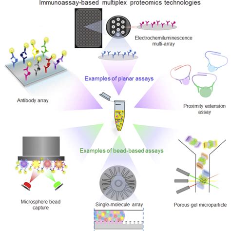 Uncovering The Depths Of The Human Proteome Antibody Based Technologies For Ultrasensitive