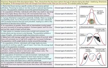 Types Of Natural Selection Self Checking Digital Worksheet By Hey Now Science