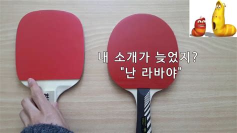 정민쌤의 탁구 라켓의 종류와 그립법 학교수업용 Youtube
