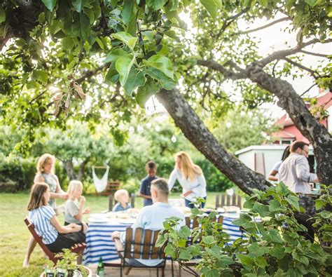 Want To Kill A Tree Without Cutting It Down Don T Do It Here S Why Homes And Gardens