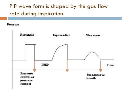 Basics Of Neonatal Ventilation 1