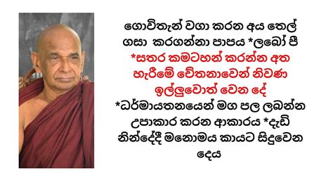 ගොවිතැන් වගා කරන අය තෙල් ගසා කරගන්නා පාපය ලබෝ පී Youtube