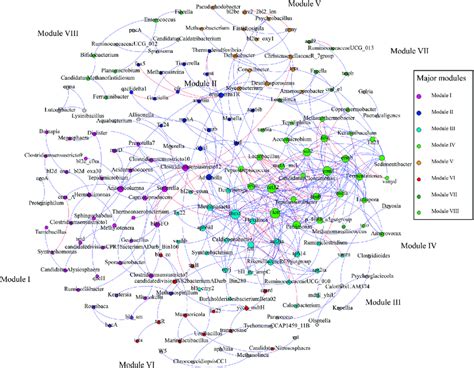 The Co Occurrence Patterns Between Args Subtypes And Microorganisms At