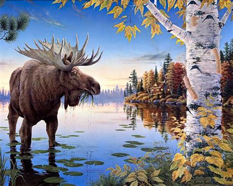 Загадка Про Лося - 57 фото