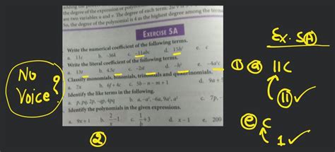 Classify Monomials Binomials Trinomials And Quadrinomials Filo